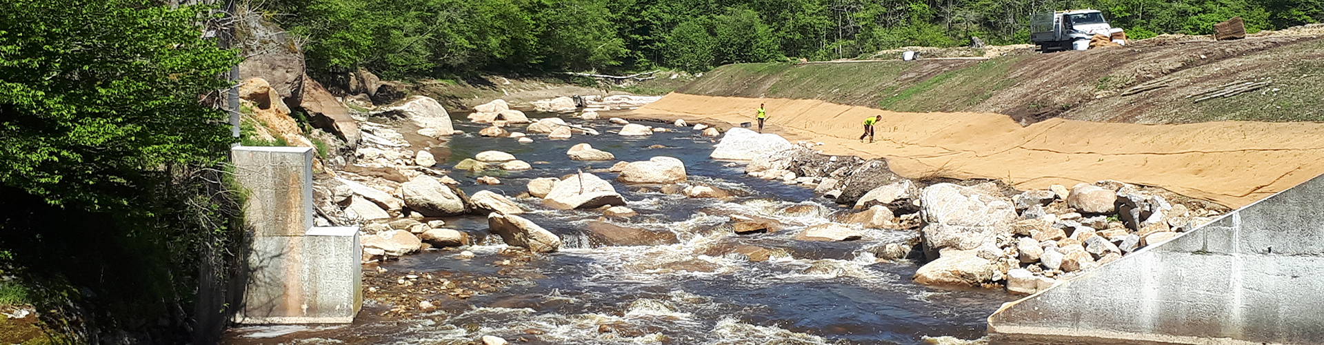 Génie écologique et végétalAccueil - Agev Solutions Agev Solutions